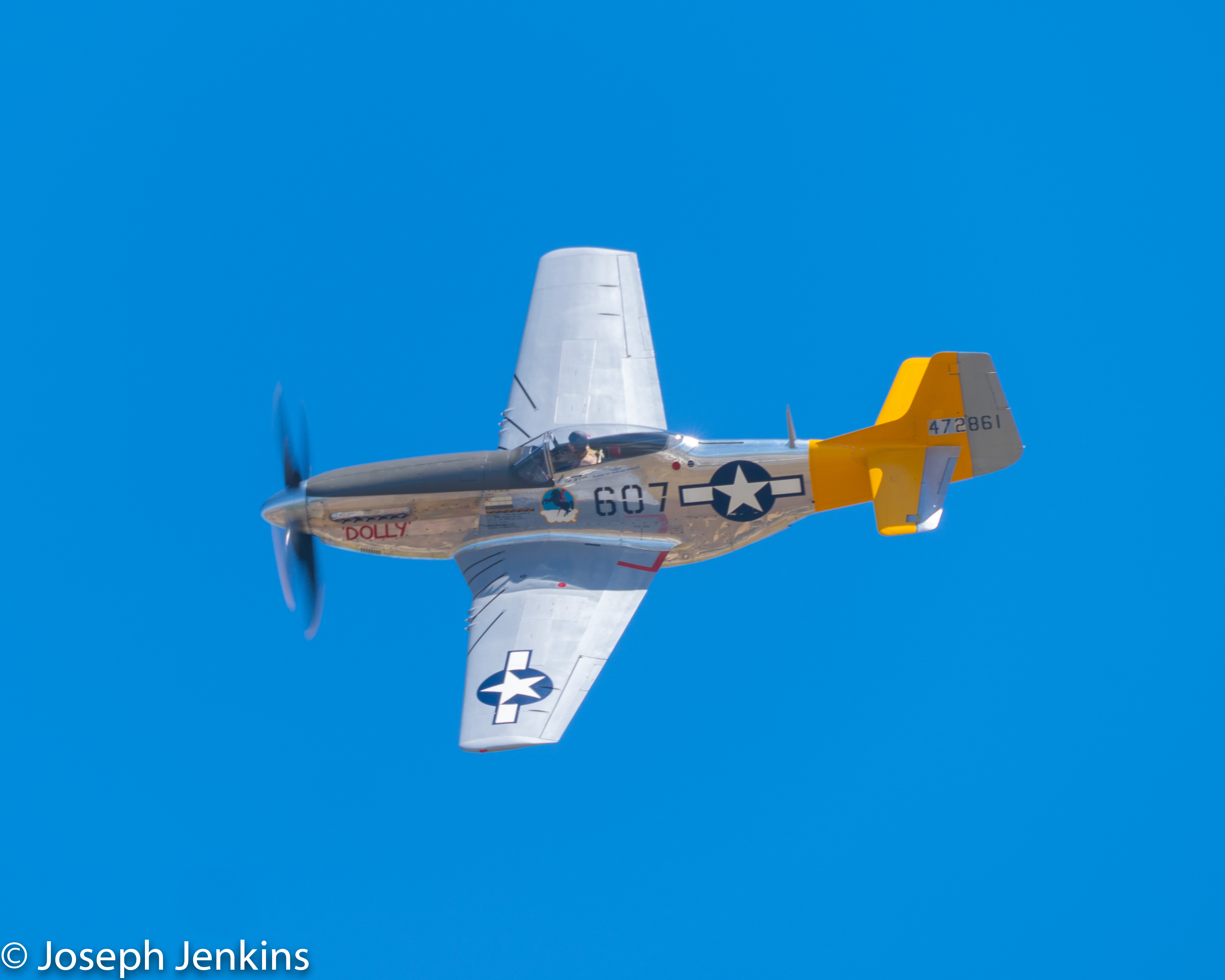 P-51 Mustang in Flight – Joseph Jenkins