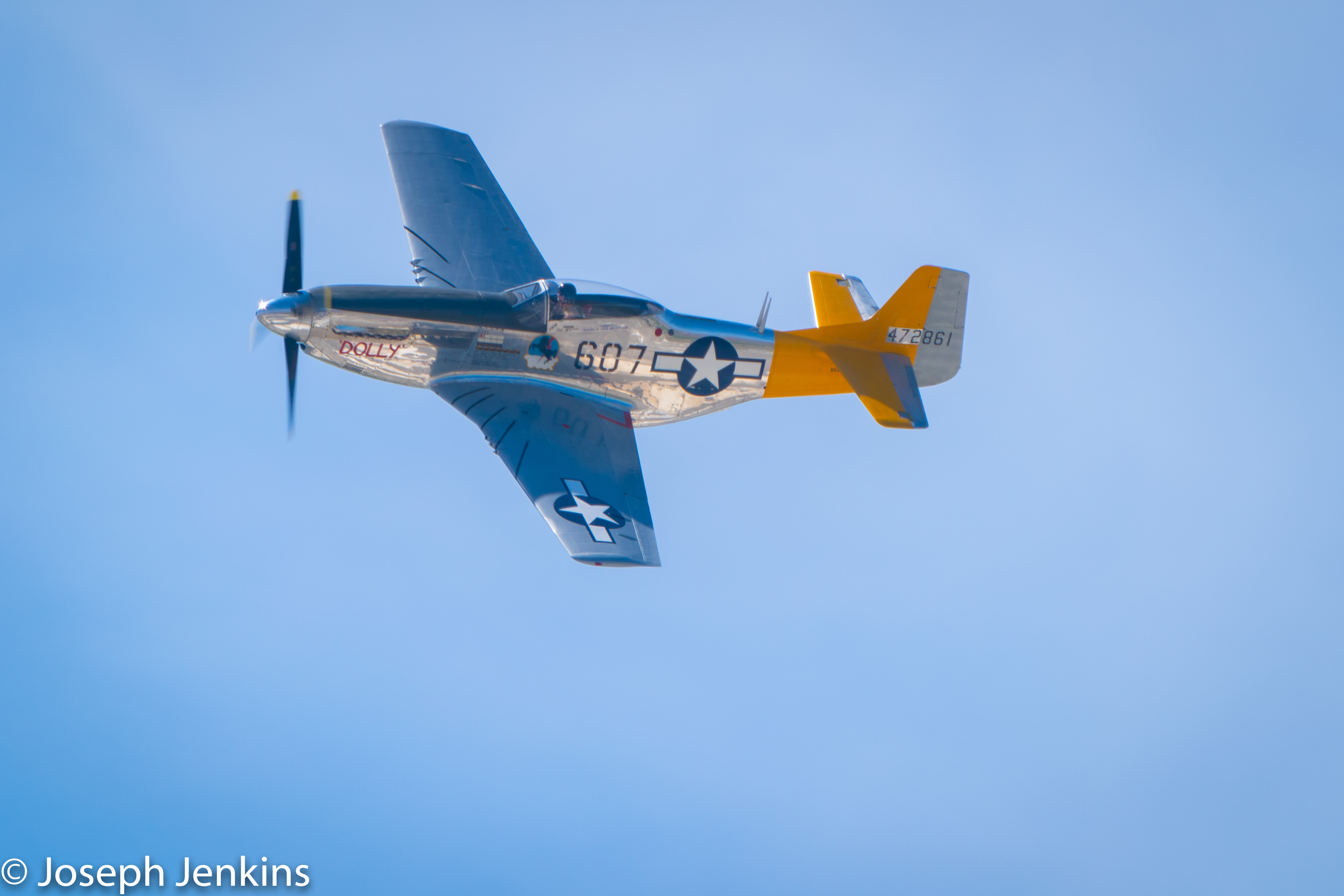 P-51 Mustang in Flight – Joseph Jenkins