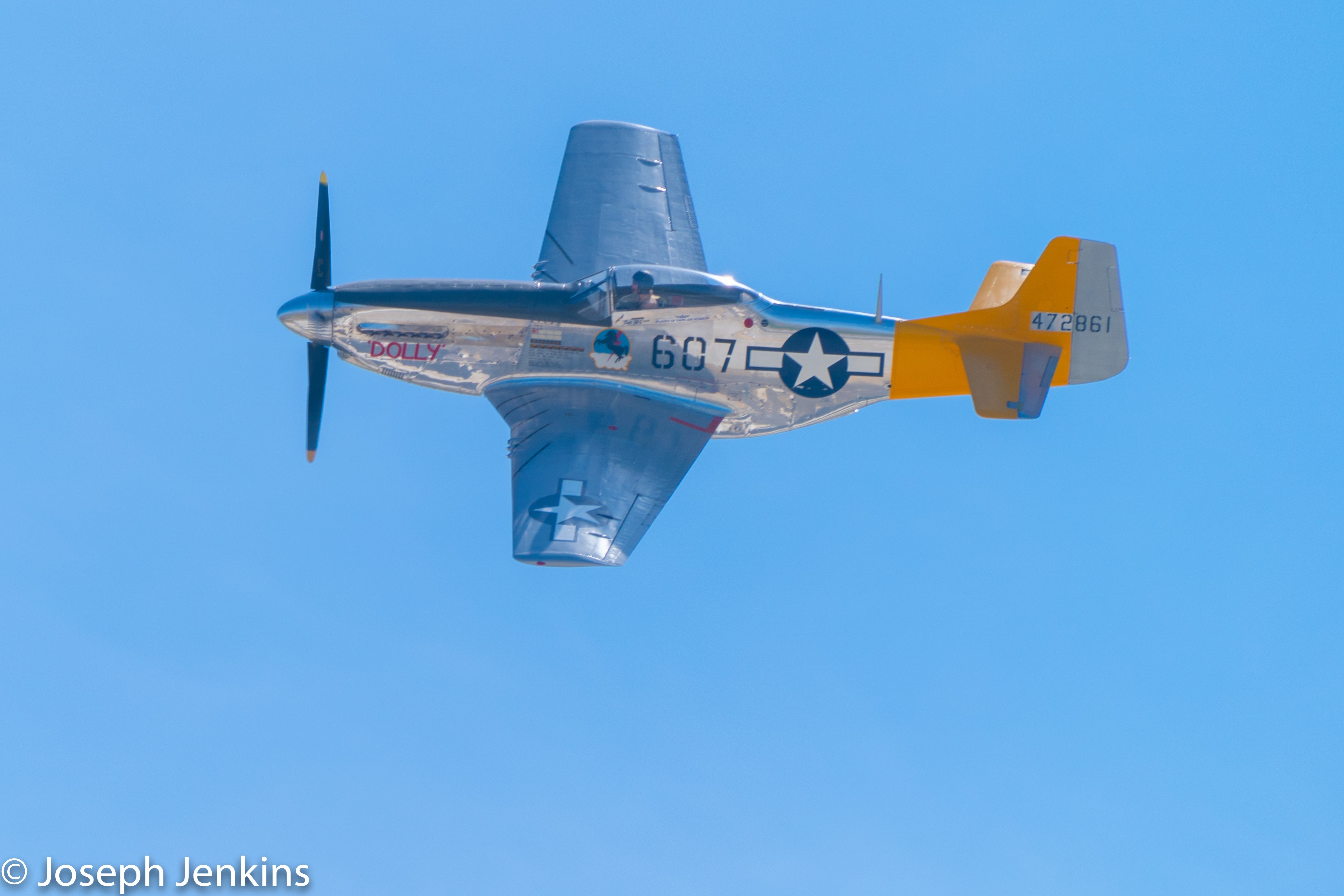 P-51 Mustang in Flight – Joseph Jenkins